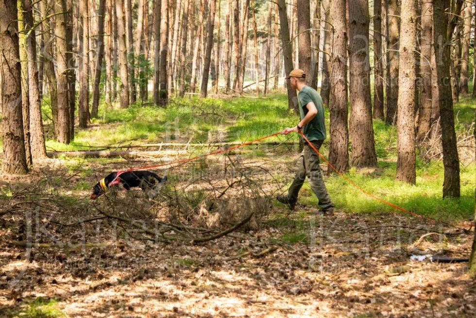 Riemen | Jägerschmiede